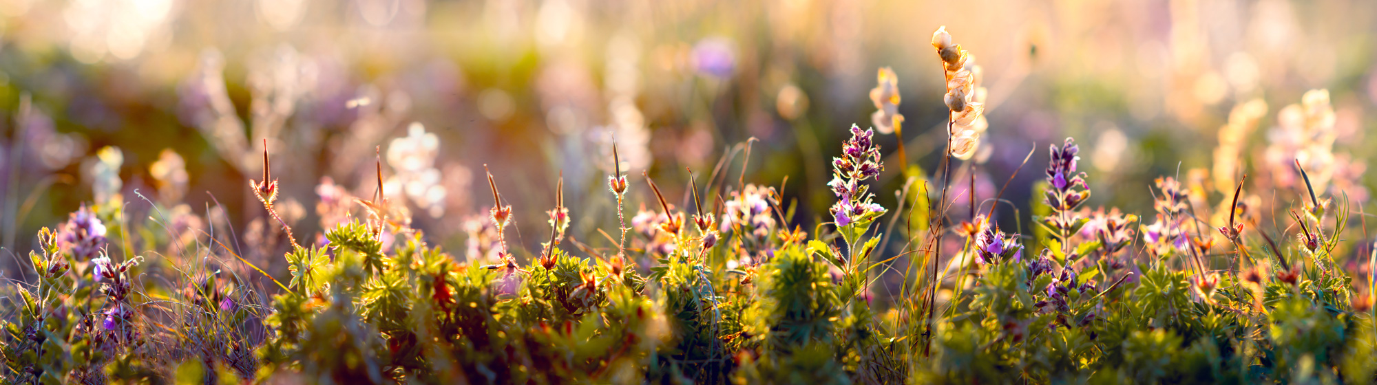 Our Sustainability Commitment - NiSource