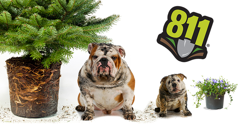 Gas Line Responsibilities - NIPSCO